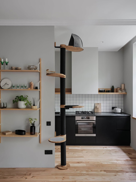 catsby family – mtrl.io